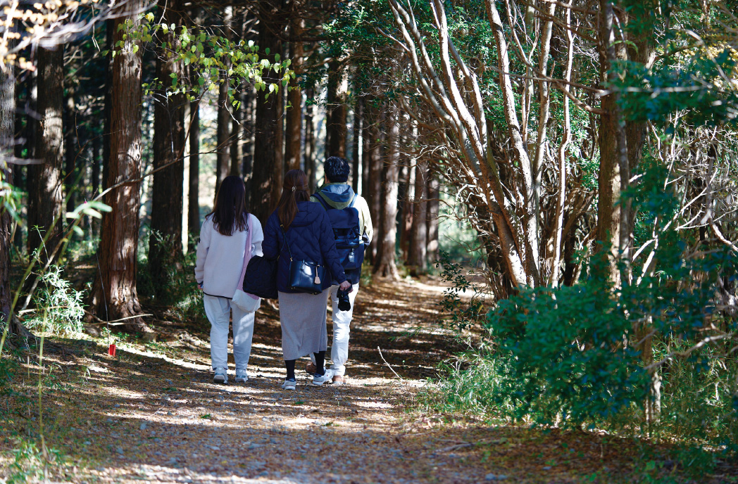 SAVE HARVEST PROJECT